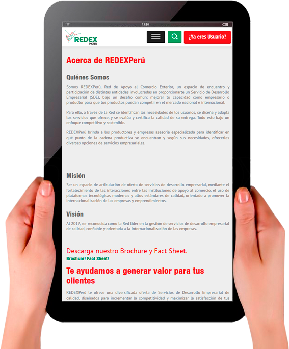 Redex Perú